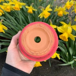 Hand Crafted | Accents | Hp New Watermelon Hand Painted Flower Pot ...
